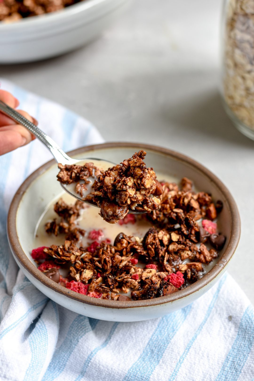 Dark Chocolate Raspberry Granola | RD-Licious - Registered Dietitian ...